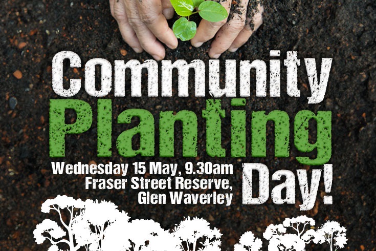 Fraser Street Reserve Tiny Forest - Community Planting Day | City of Monash