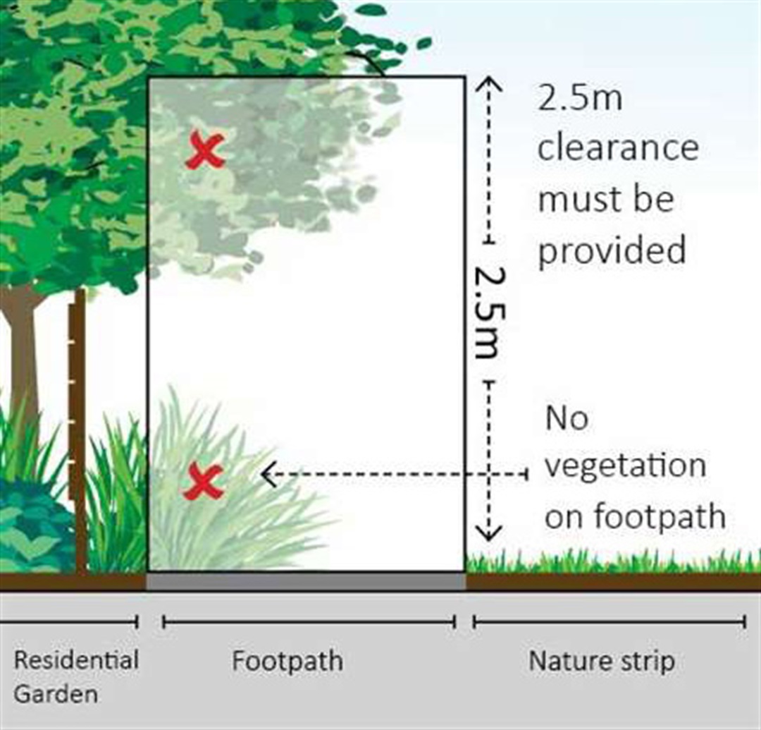 Overhanging vegetation | City of Monash
