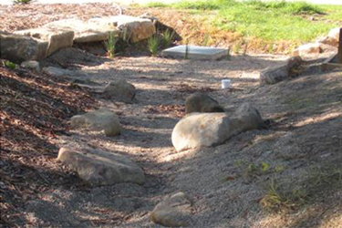 Rain Gardens | City of Monash