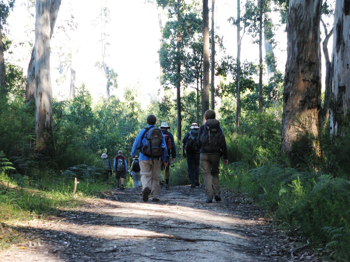 Waverley Bushwalking Club Inc | City of Monash