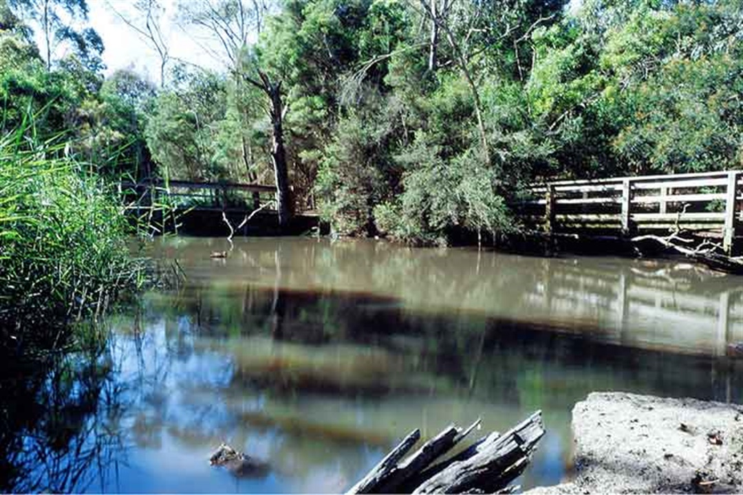 Valley Conservation Reserve | City of Monash