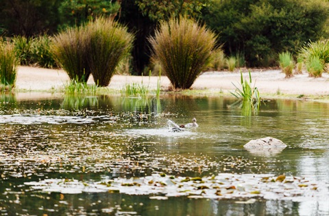 Home | City of Monash